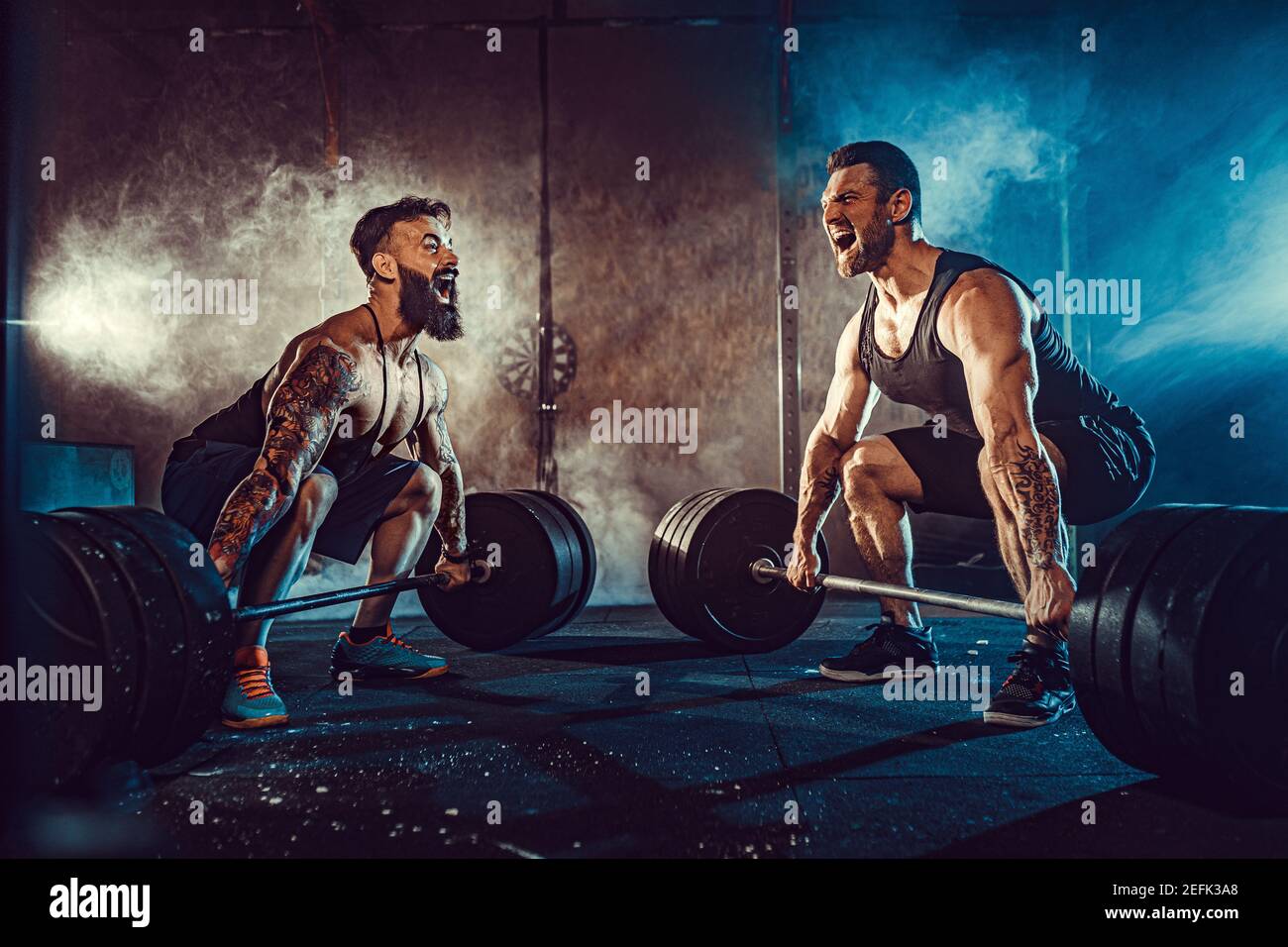 Two muscular bearded tattoed athletes training, lifting heavy weight ...