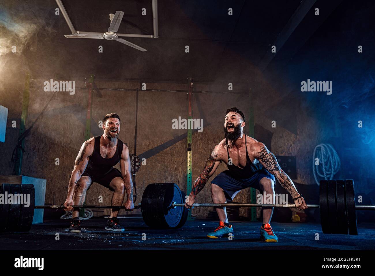 Two muscular bearded tattoed athletes training, lifting heavy weight ...