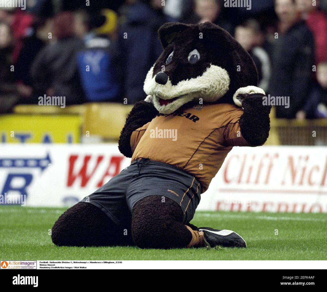 Wolverhampton Wanderers Mascot High Resolution Stock Photography and ...