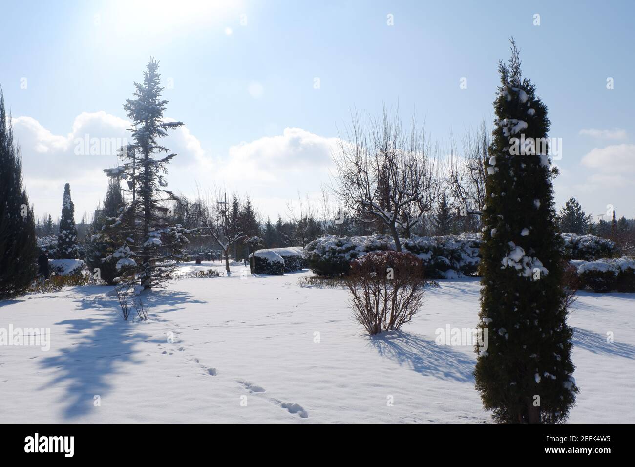 Snow trekking hi-res stock photography and images - Alamy