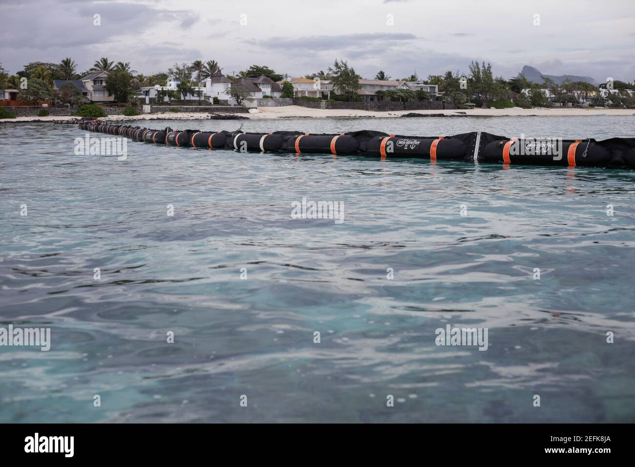 The MV Wakashio oil spill, Man-made Ecological and Economical Disaster ...