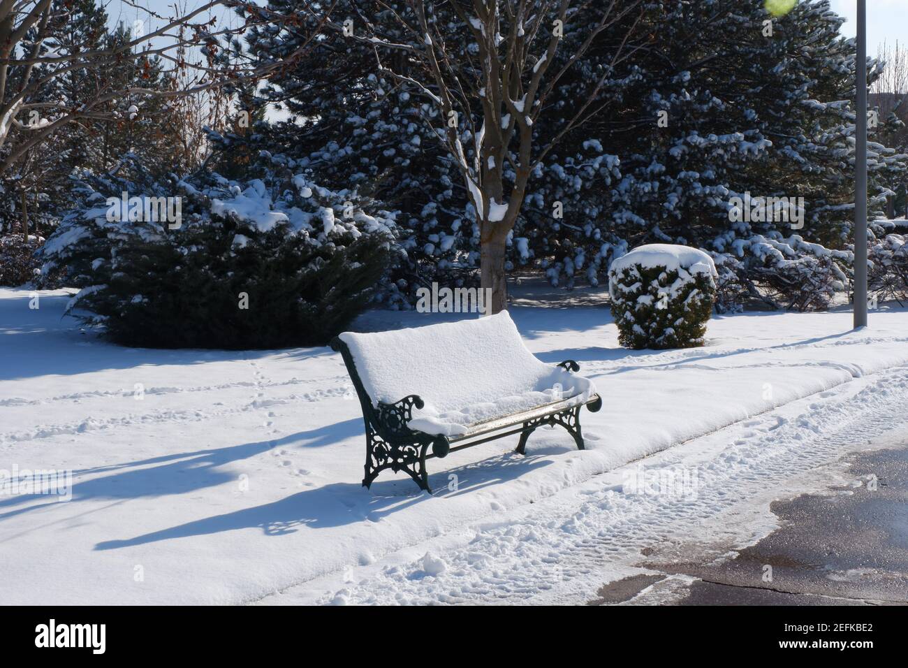 Sitting under willow tree hi-res stock photography and images - Alamy