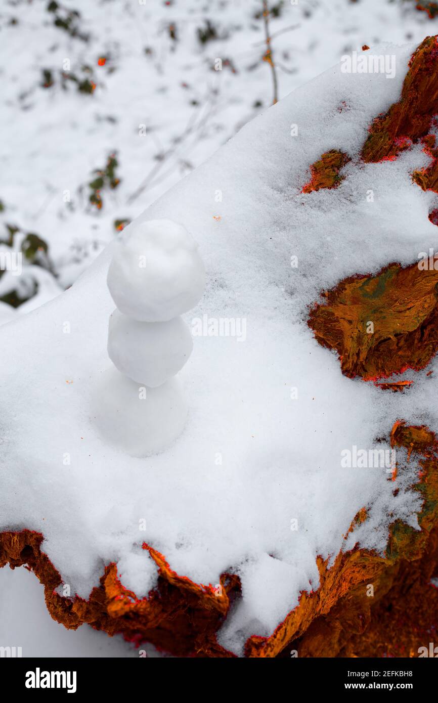 Tiny woodland snowman following snowfall in southern England, late ...