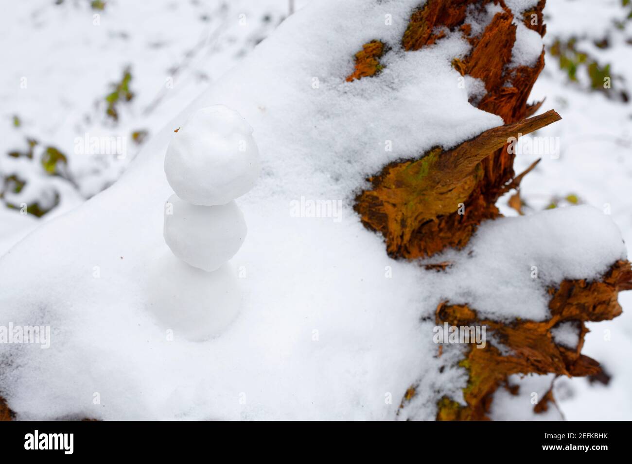 Tiny woodland snowman following snowfall in southern England, late ...