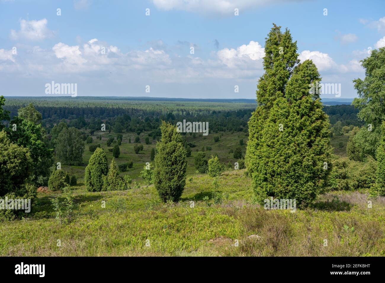 Lueneburger heide sunset hi-res stock photography and images - Alamy
