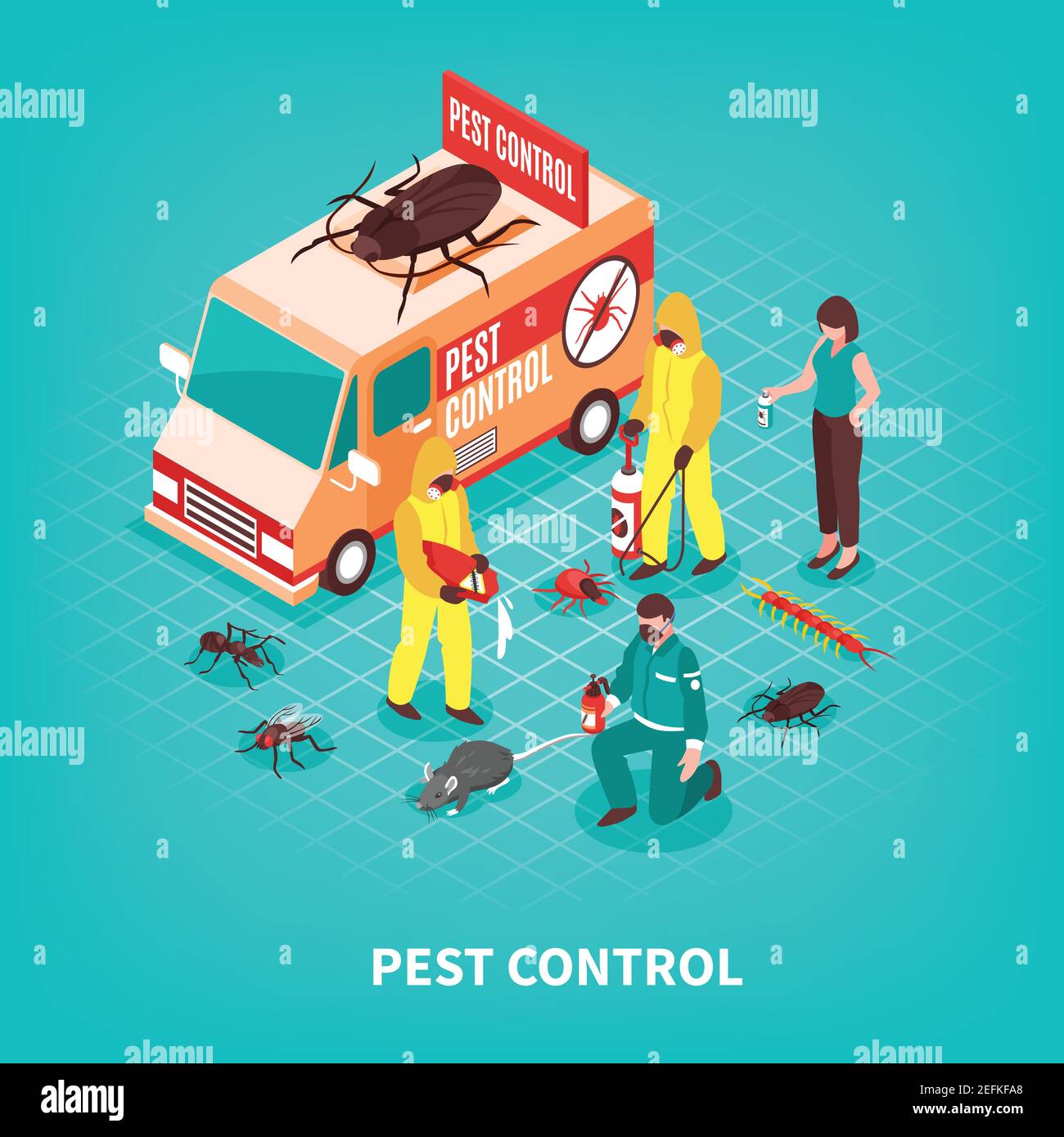 Bedbug vector vectors hi-res stock photography and images - Alamy