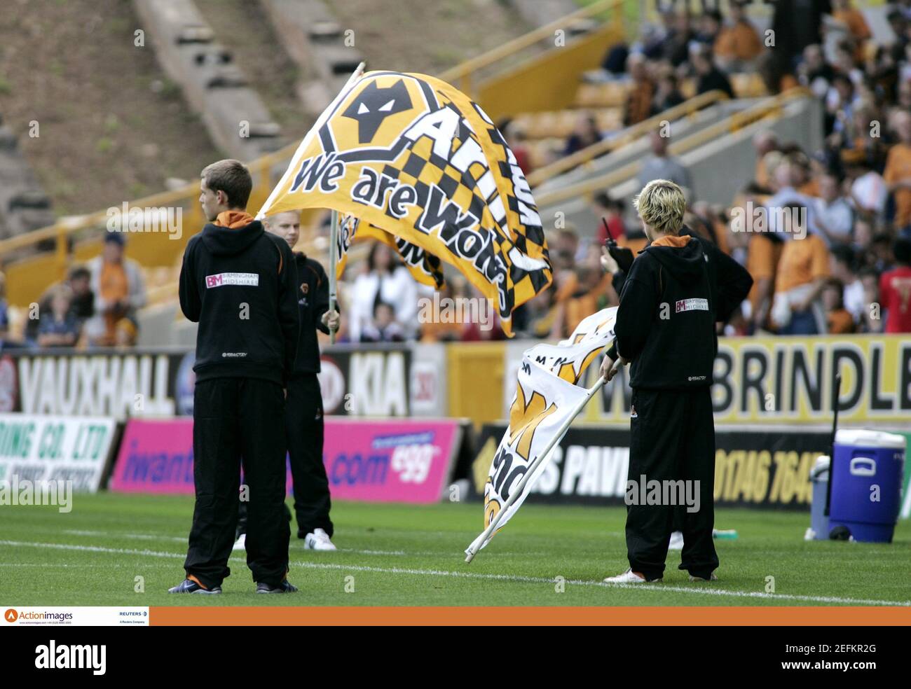 Wolverhampton wolves mascots hi-res stock photography and images - Alamy