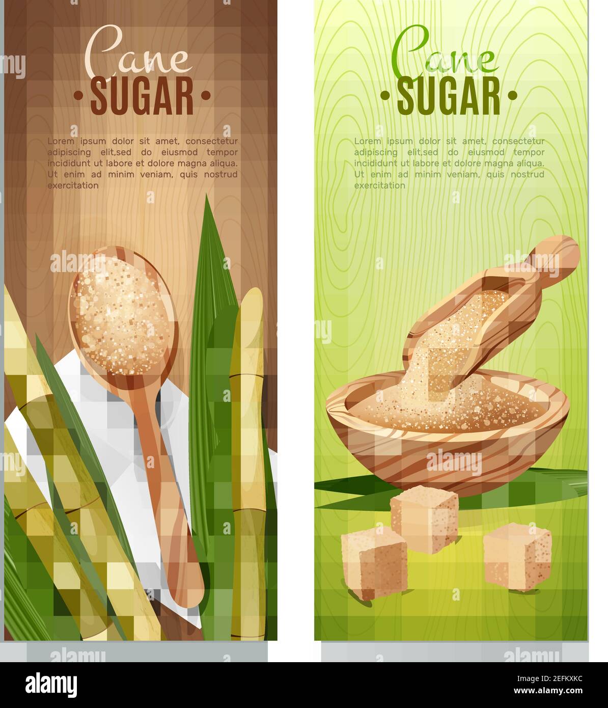 Set of two cane sugar vertical banners with reed sticks and leaves ...