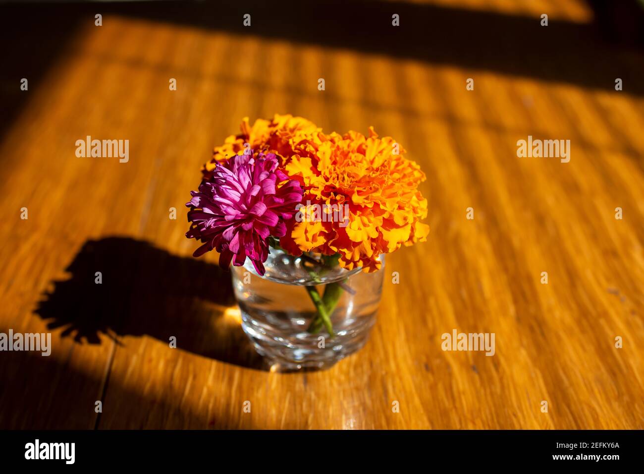 Marigold glass hi-res stock photography and images - Alamy