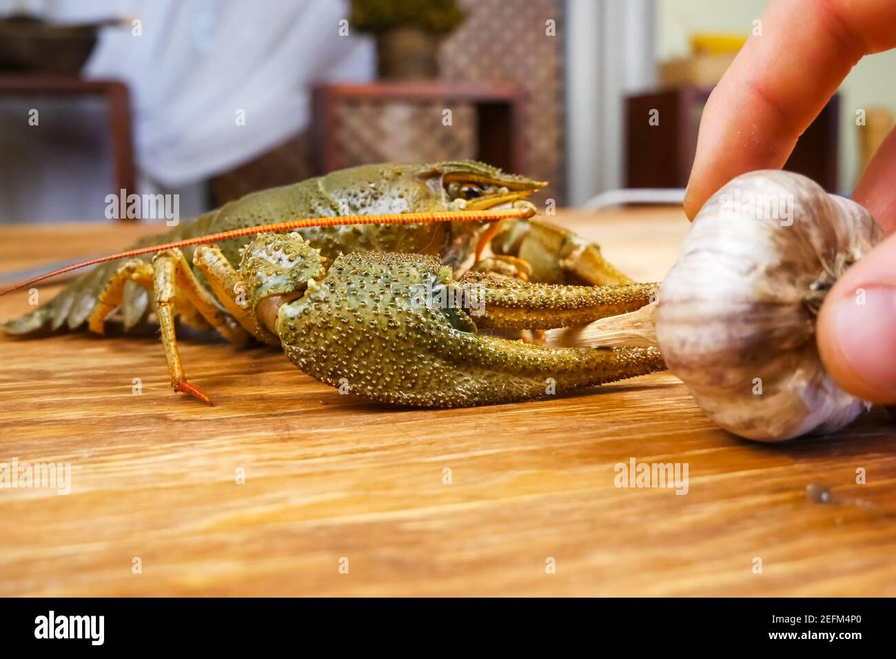 Live crayfish on the table. Cooking crayfish Stock Photo - Alamy