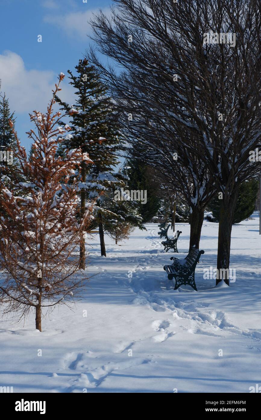 Beautiful View in Snowy Weather Stock Photo - Alamy