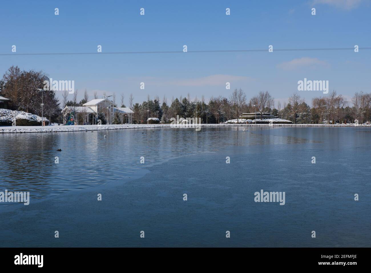 Beautiful view bird in park hi-res stock photography and images - Alamy