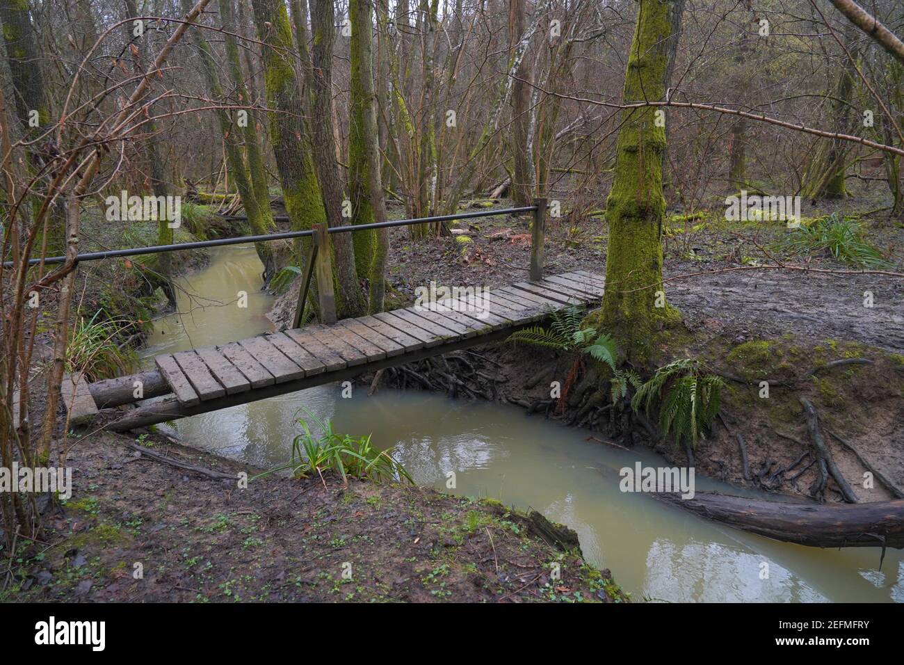 Old wooden bridge across a woodland stream Stock Photo - Alamy