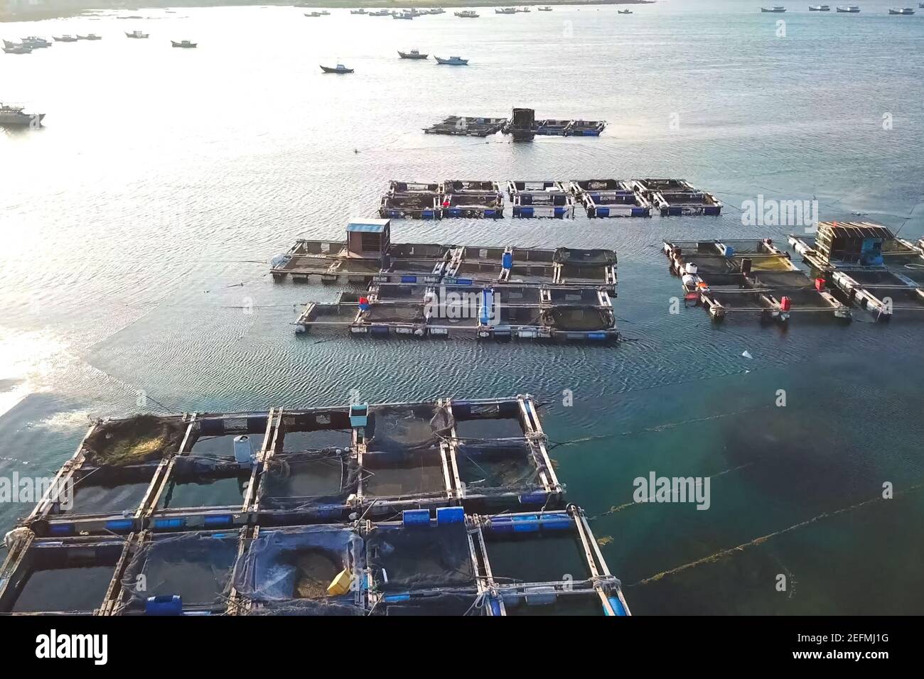 Fish farm in coastal waters. Rectangular cages for fish and crustaceans ...