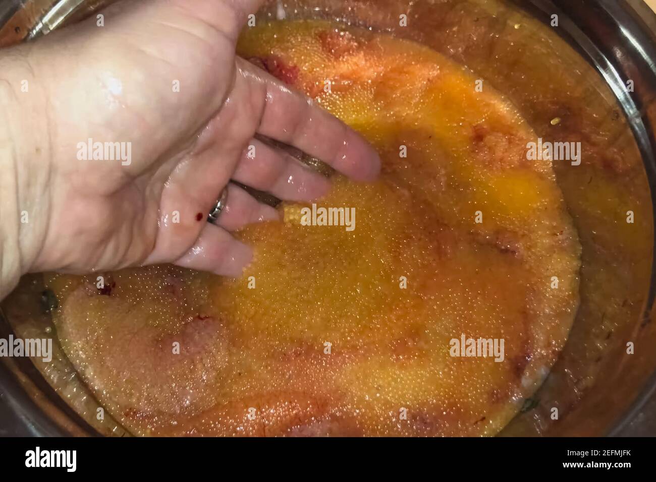 Catfish Eggs High Resolution Stock Photography and Images - Alamy