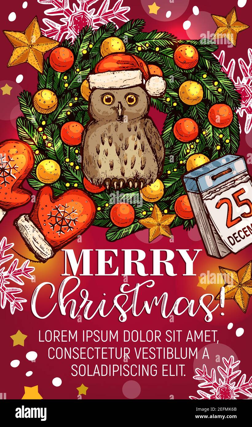 Santa hat owl vector vectors hi-res stock photography and images - Alamy