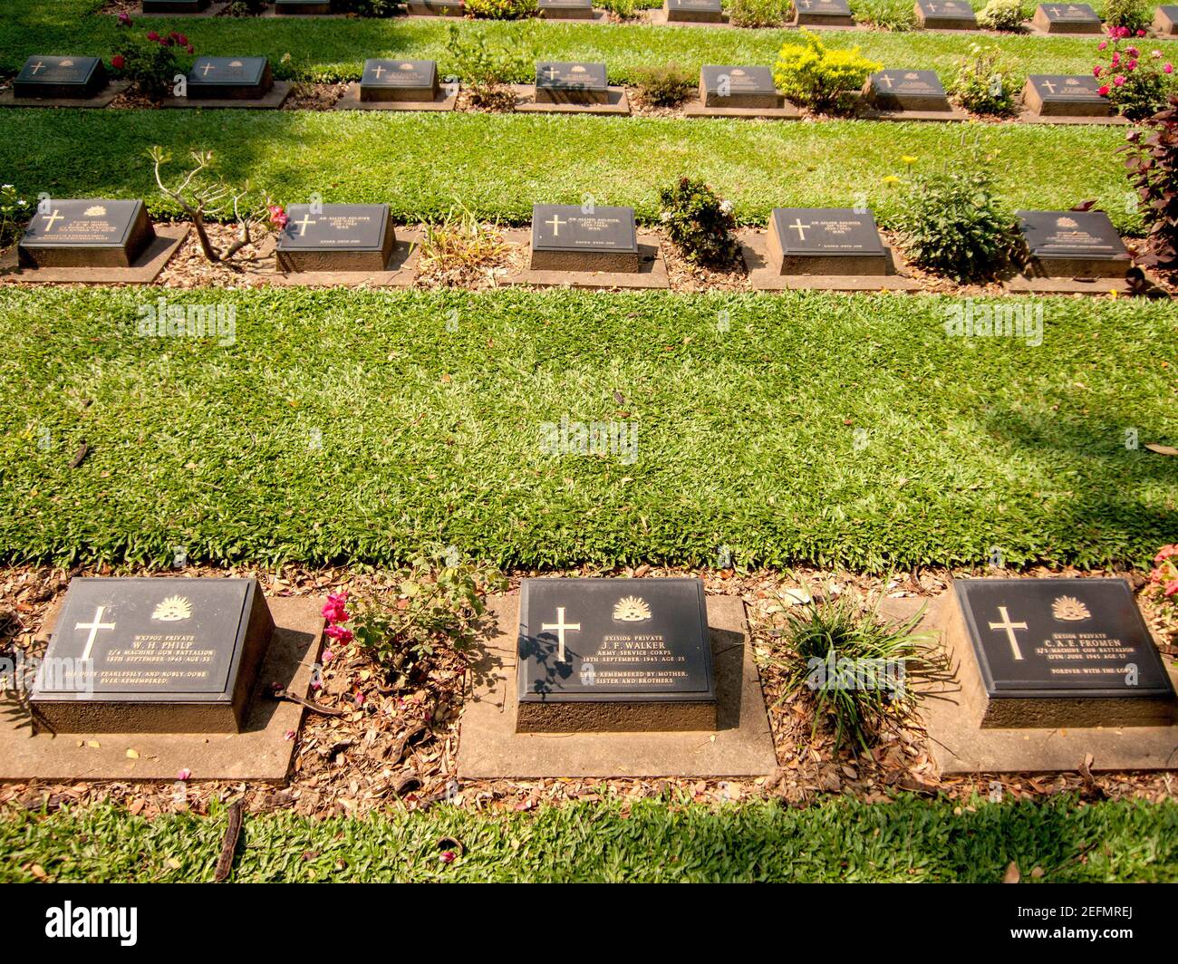 Headstones of 8 graves in Kanchanaburi War Cemetery Stock Photo - Alamy