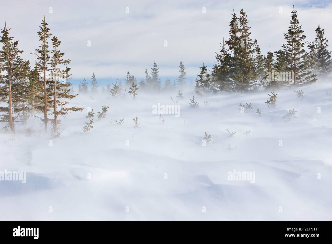White out conditions hi-res stock photography and images - Alamy