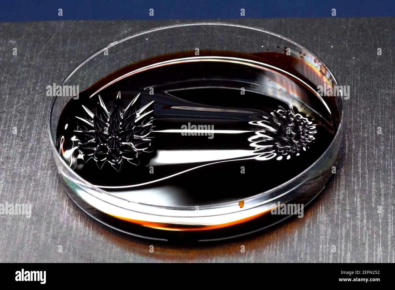 Magnetic liquids hi-res stock photography and images - Alamy