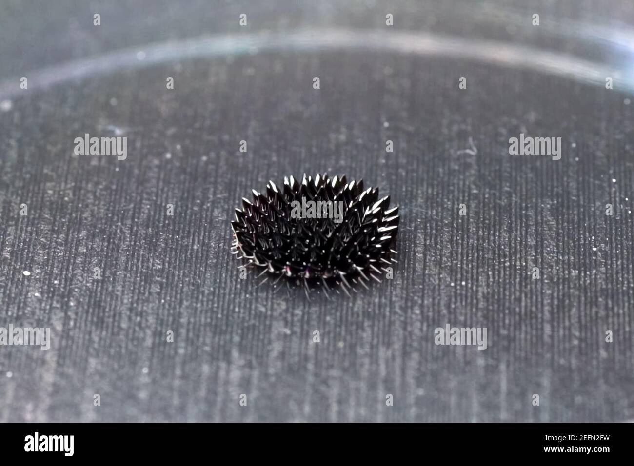New forms of energy hi-res stock photography and images - Alamy