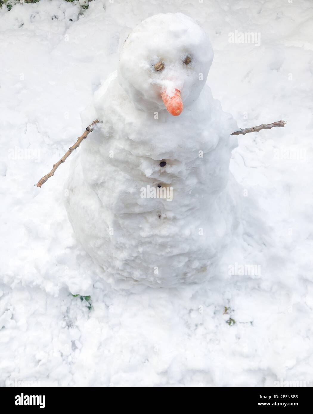 Snowman carrot nose in winter hi-res stock photography and images - Alamy