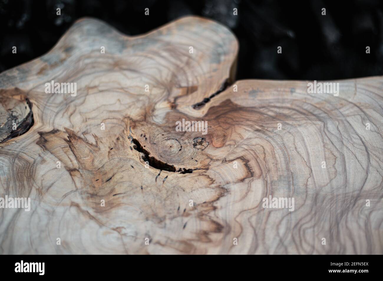Veins of wood hi-res stock photography and images - Alamy