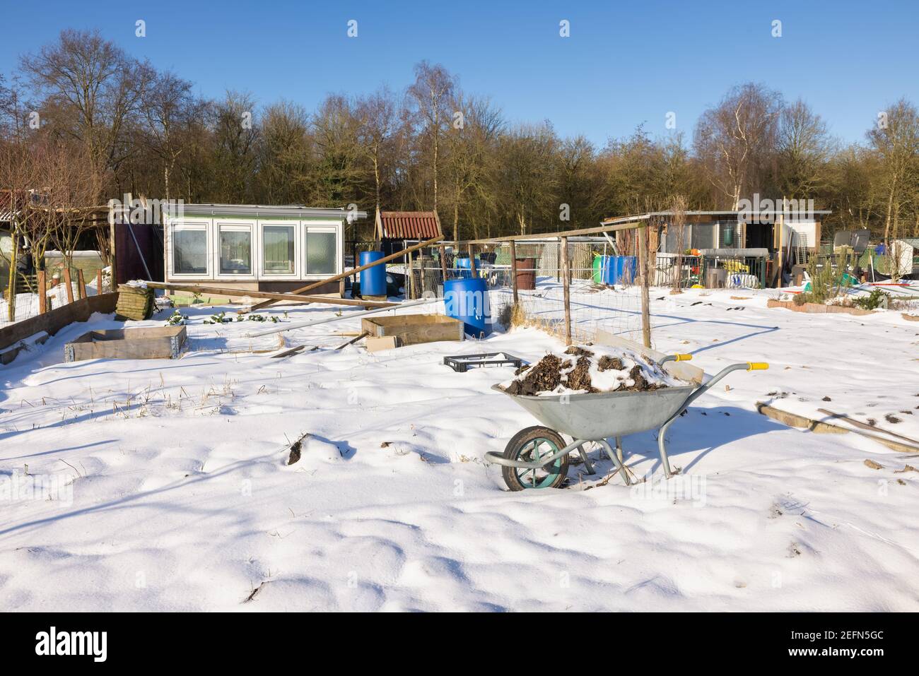 Allotment garden with wheelbarrow in winter covered with snow Stock ...