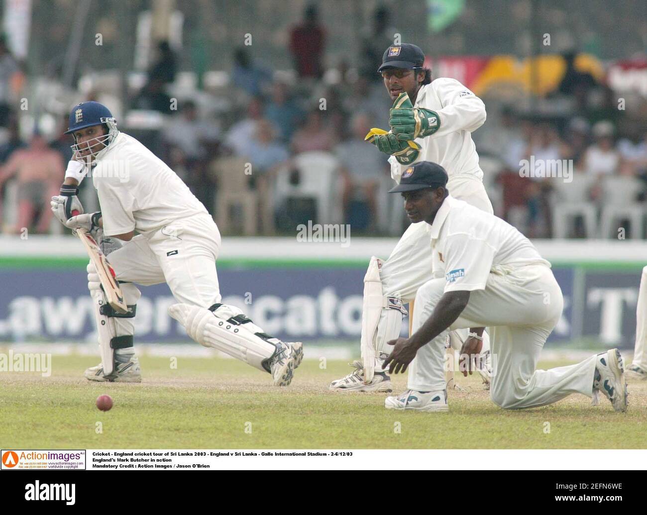Sport cricket action stadium mark butcher hi-res stock photography and ...
