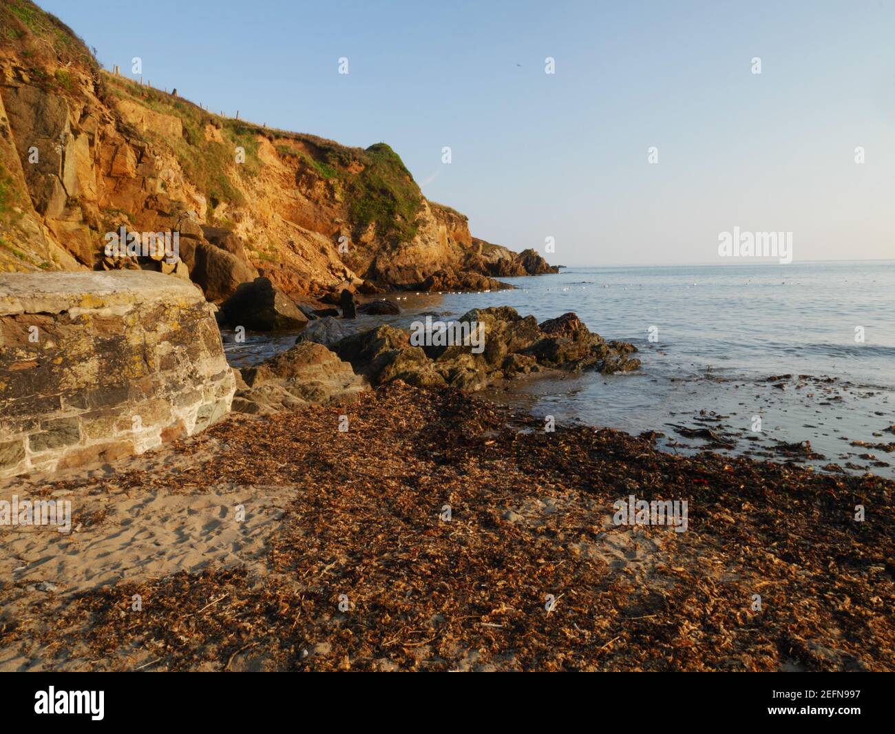 Evening light at Porthluney Cove, Caerhays, Cornwall Stock Photo - Alamy