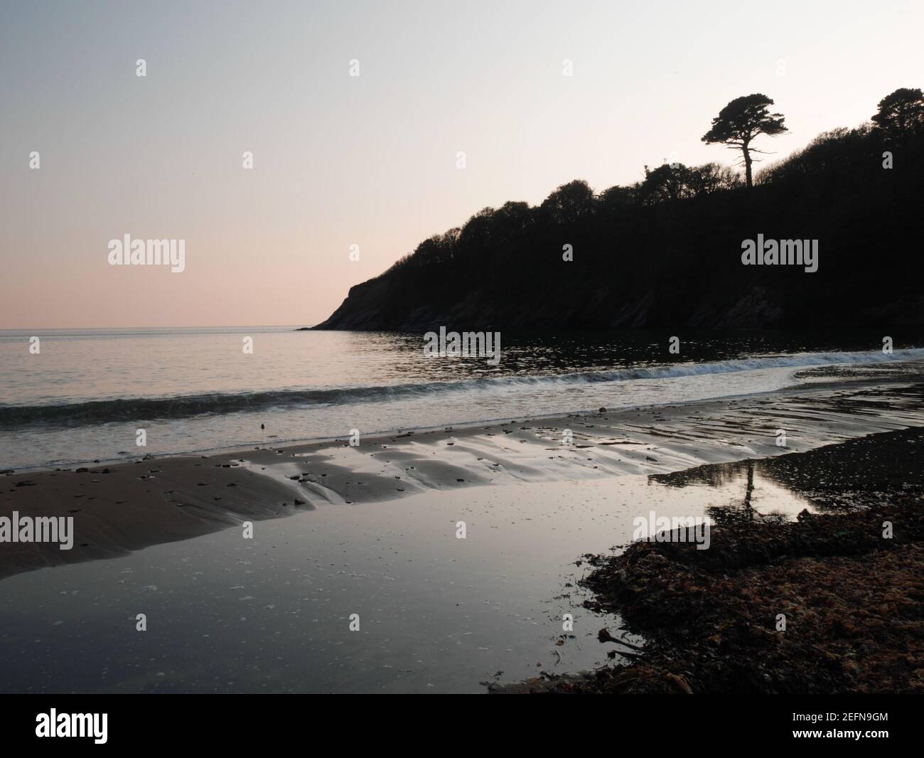 Evening light at Porthluney Cove, Caerhays, Cornwall Stock Photo - Alamy