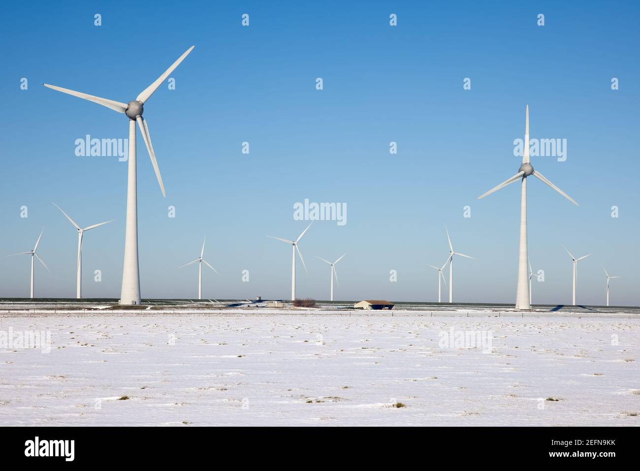 Dutch agricultural landscape with windturbines and fields covered with ...