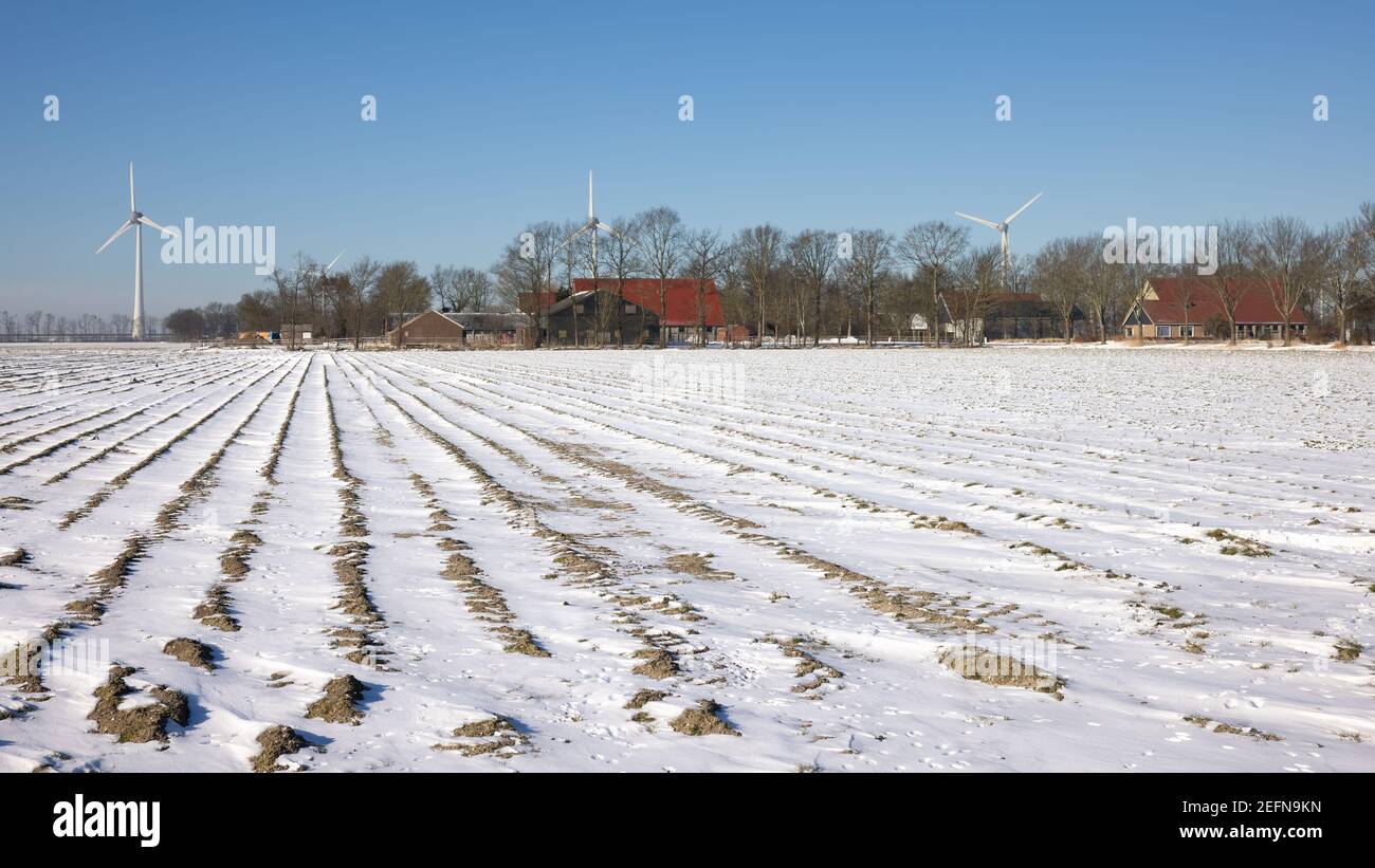 Dutch farmland covered by snow with farmhouse and wind turbine Stock ...