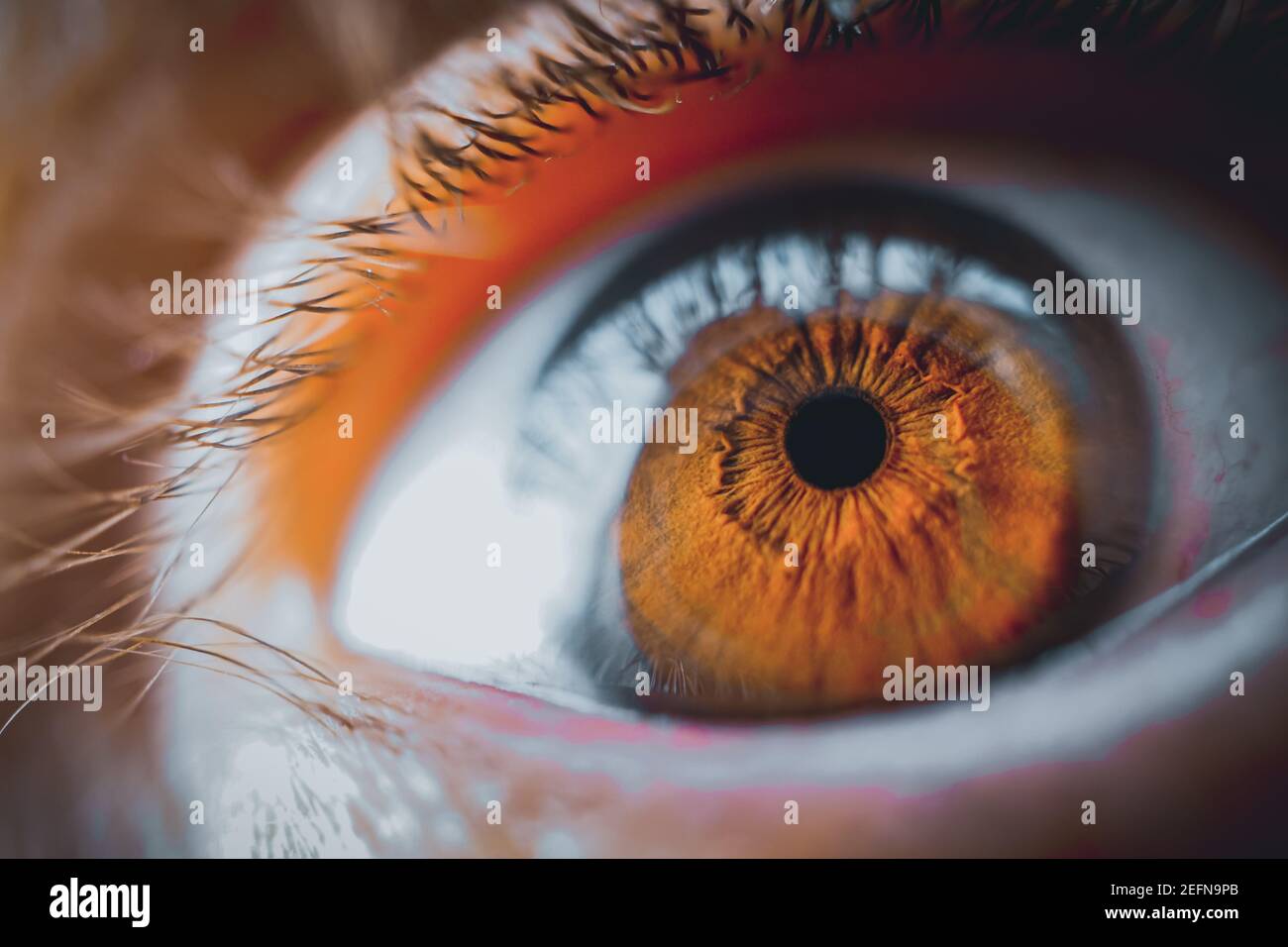 Human eye brown color hi-res stock photography and images - Alamy