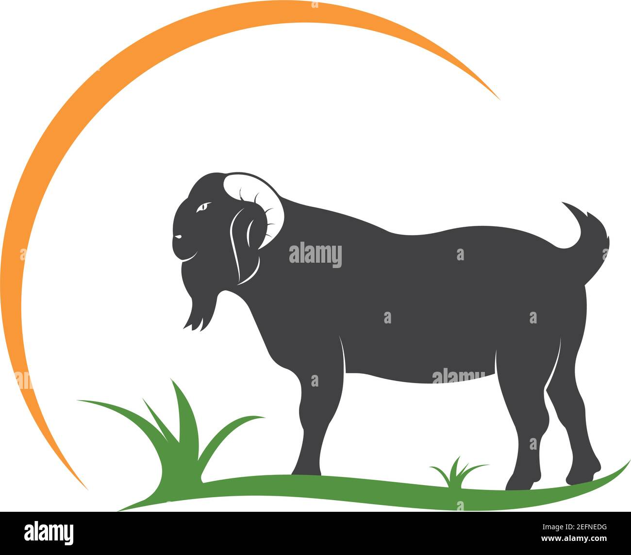 Goats eating Stock Vector Images - Alamy