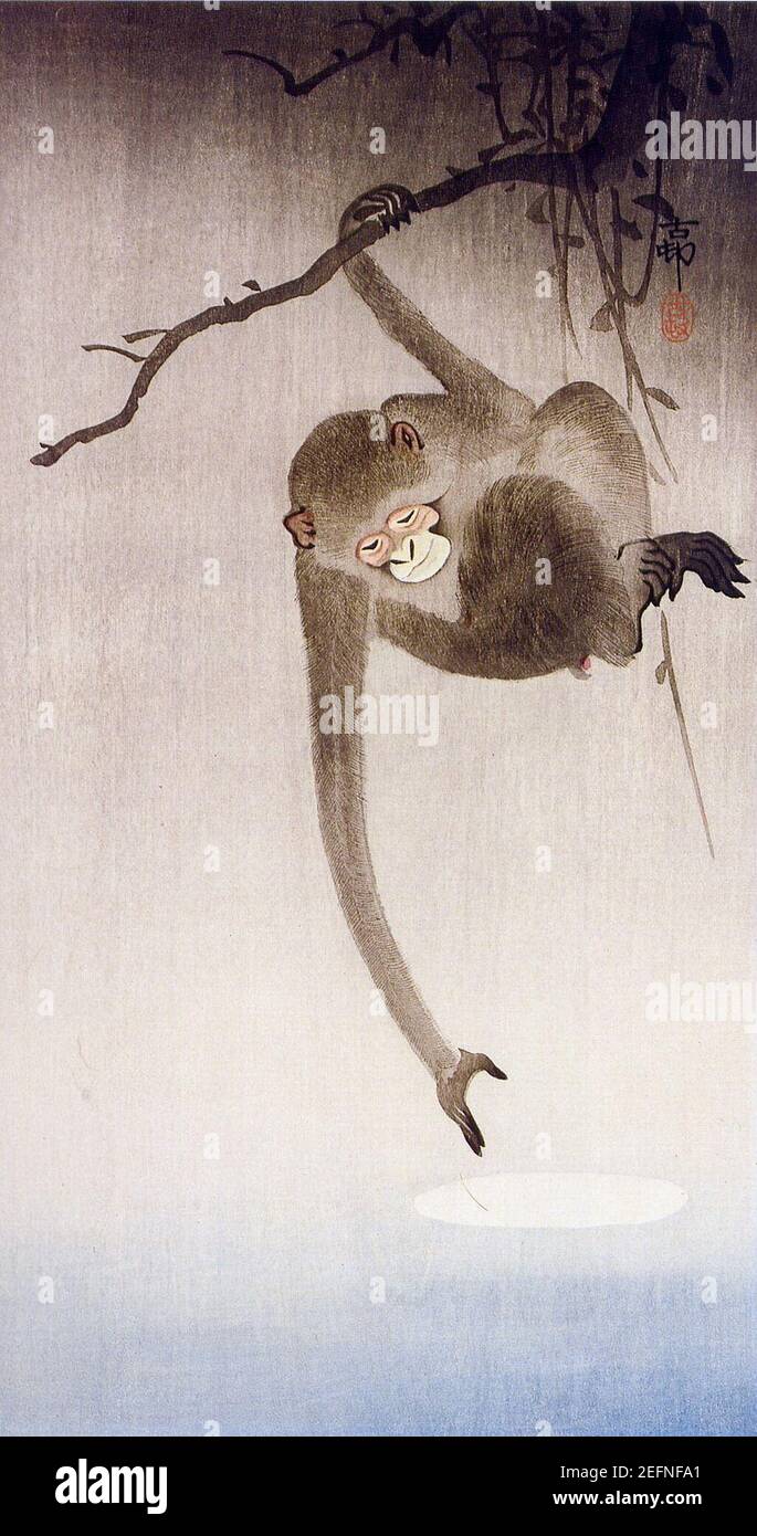 Monkey moon hi-res stock photography and images - Alamy