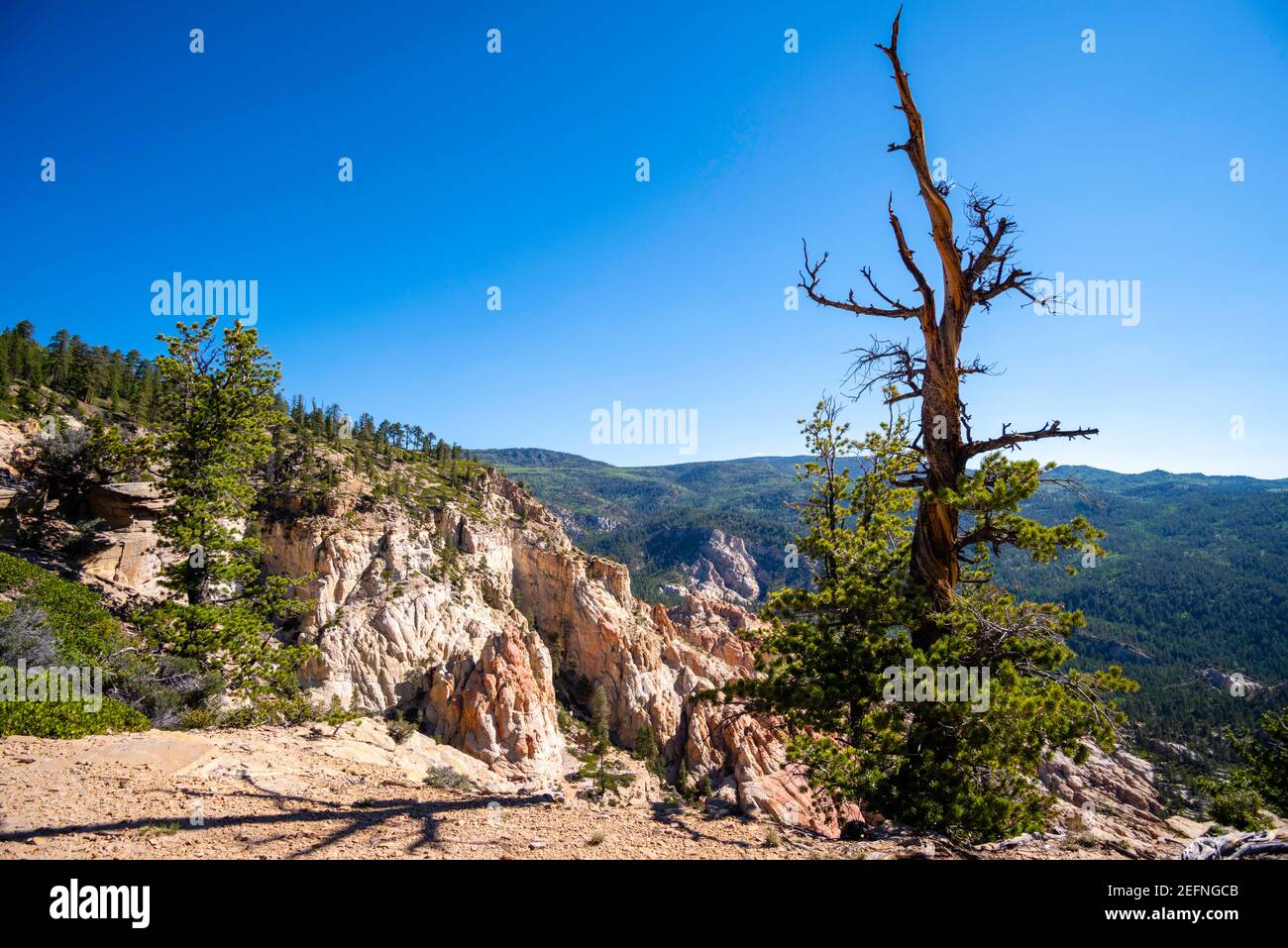 View from Hells Backbone Road, near Escalante and Boulder, Garfield ...