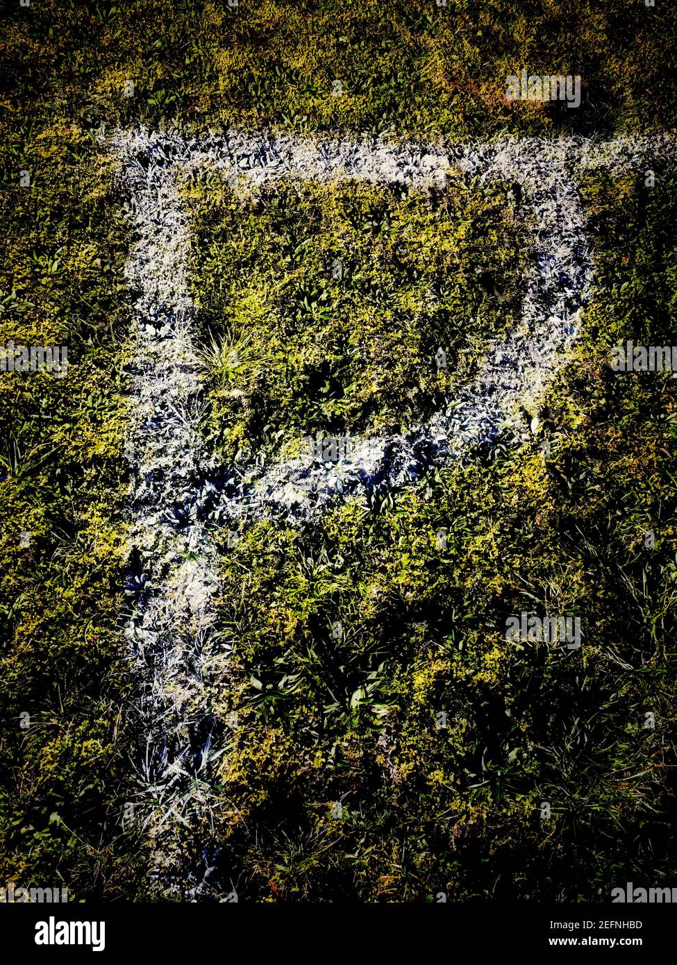 Closeup vertical shot of a white corner line on a soccer field grass ...