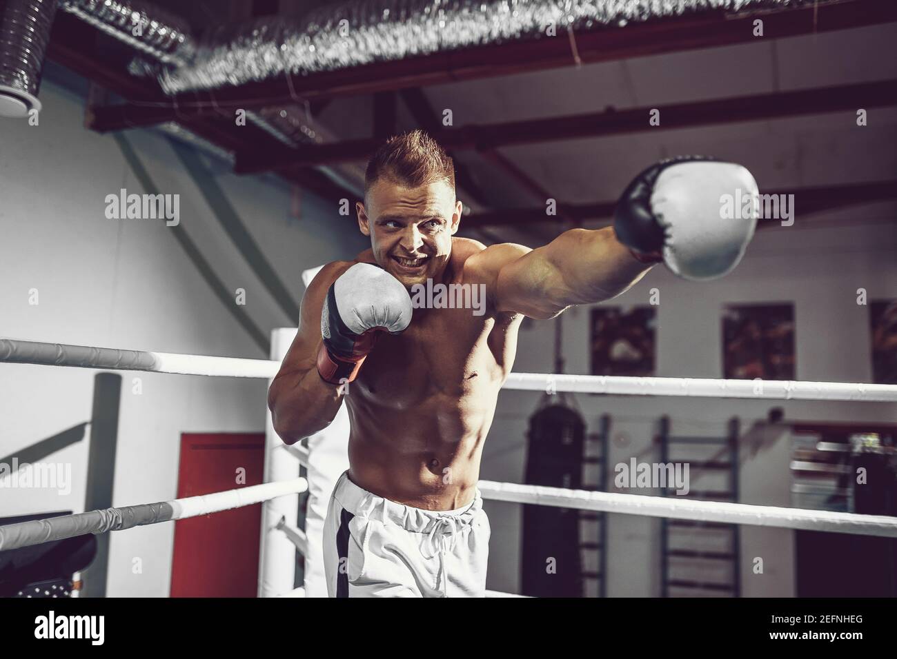 Boxer. Confident young boxer punching, training on the boxing ring ...