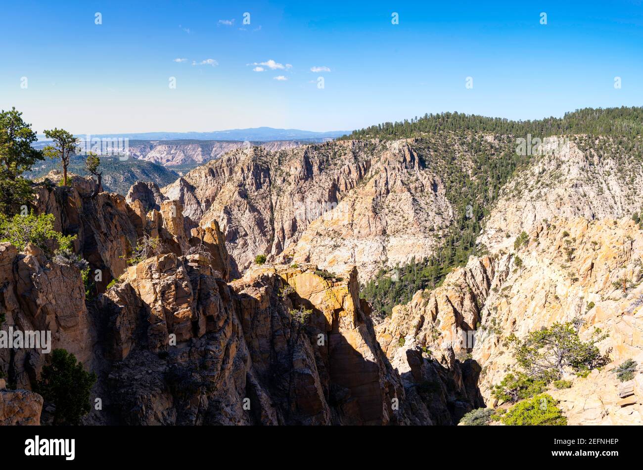 Backbone state park hi-res stock photography and images - Alamy