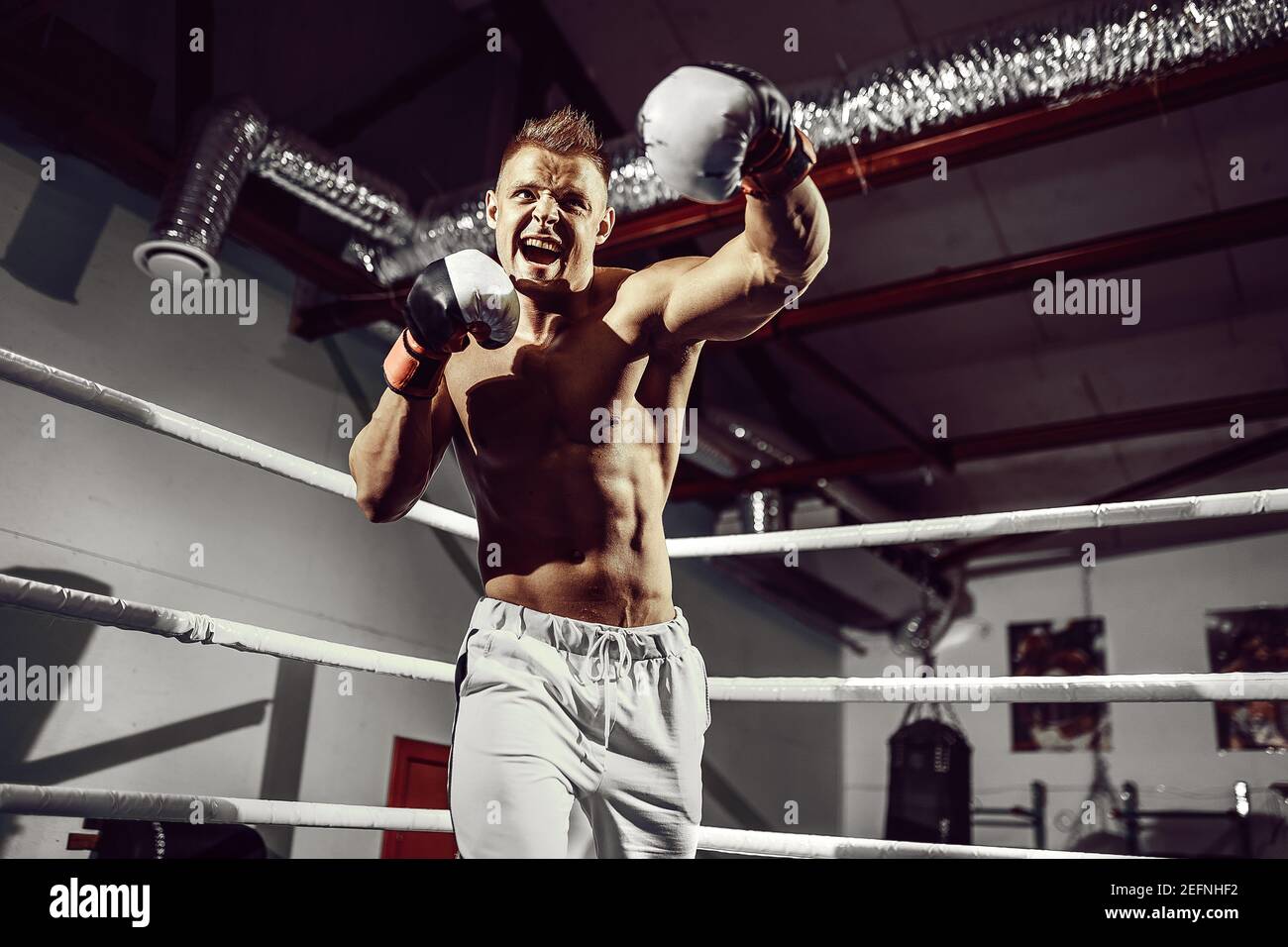 Boxing ring boxer aggression competition action hi-res stock ...