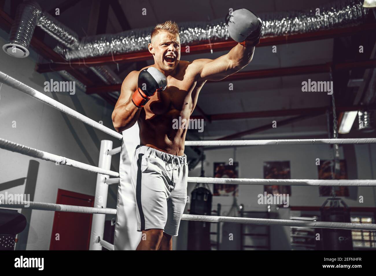 Boxer. Confident young boxer punching, training on the boxing ring ...