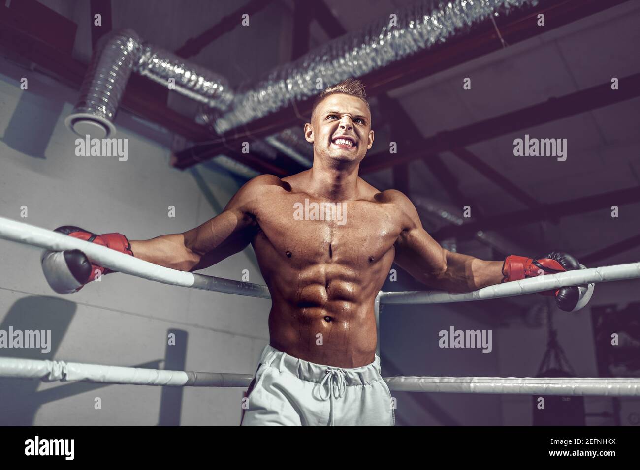muscular professional kick boxer resting on the ropes in the corner of ...