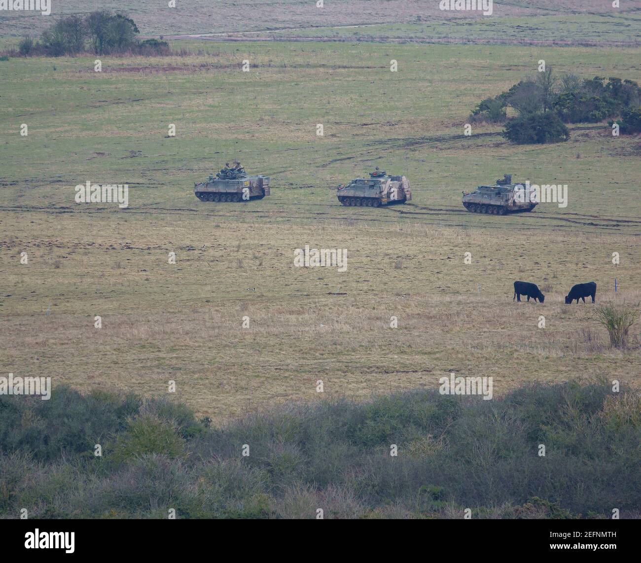 British Army Warrior light infantry fighting vehicle battle tank FV 510 ...