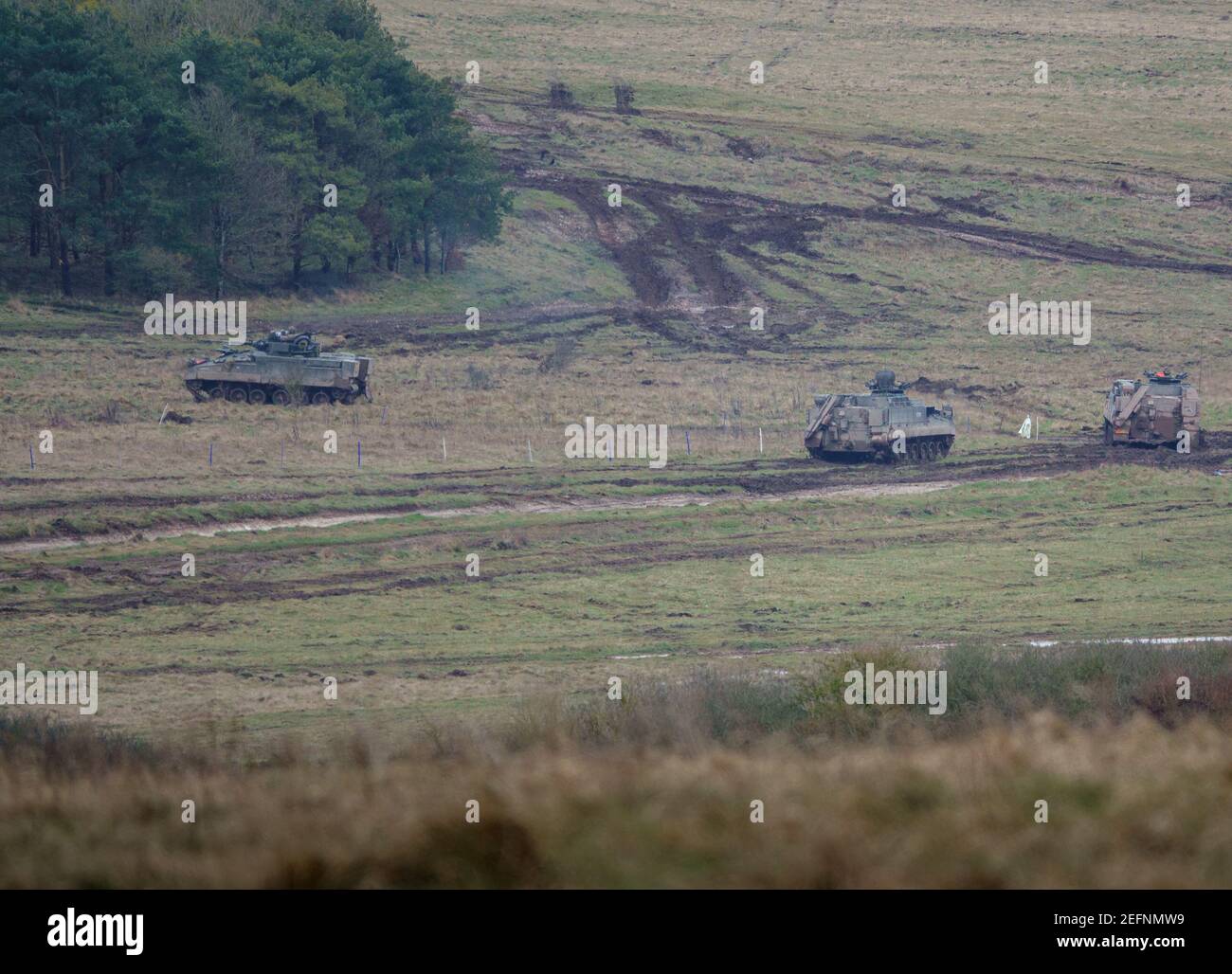 British Army Warrior light infantry fighting vehicle battle tank FV 510 ...