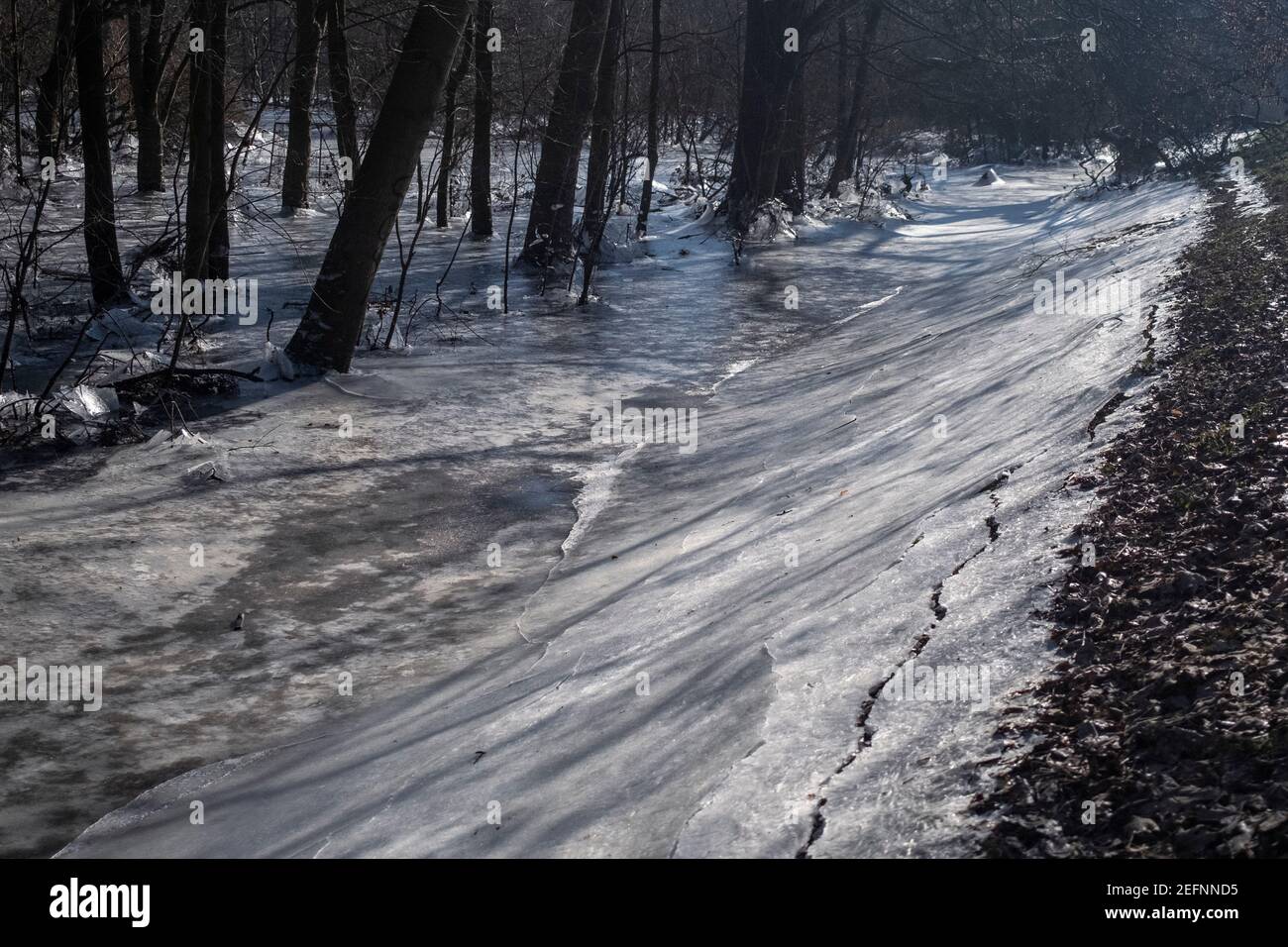 frozen flood in Cologne in Germany Stock Photo - Alamy