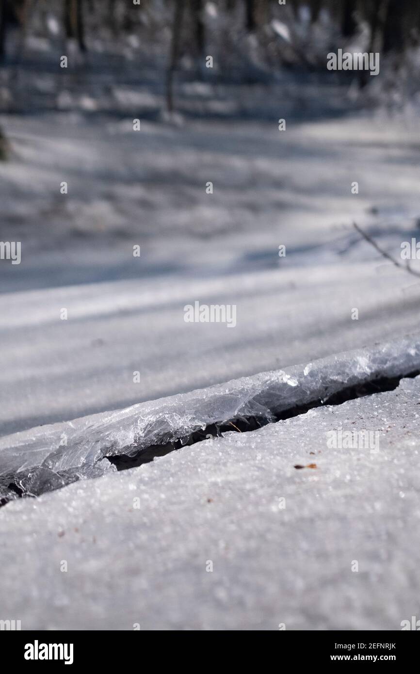 frozen flood in Cologne in Germany Stock Photo - Alamy