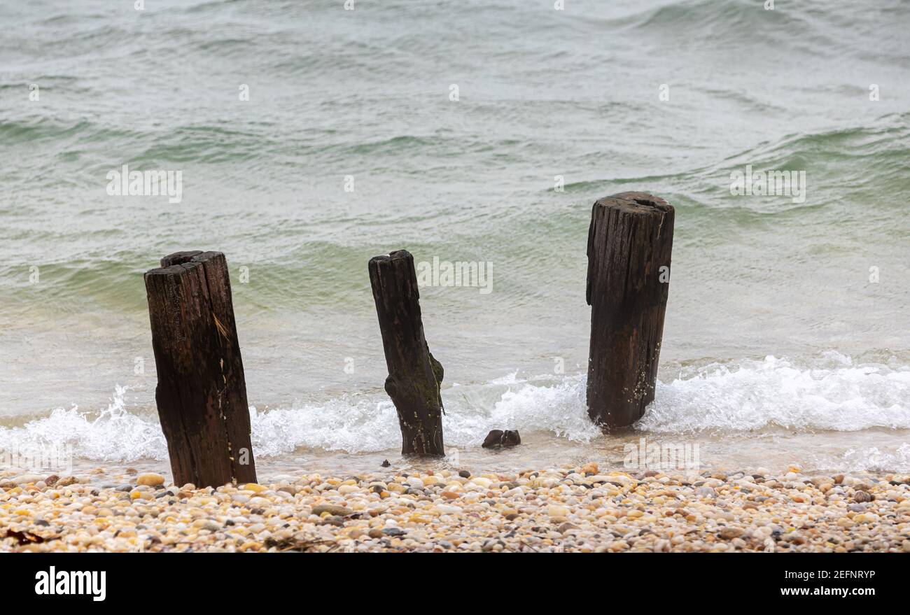Three old wooden piling on a Sag Harbor beach shoreline Stock Photo - Alamy