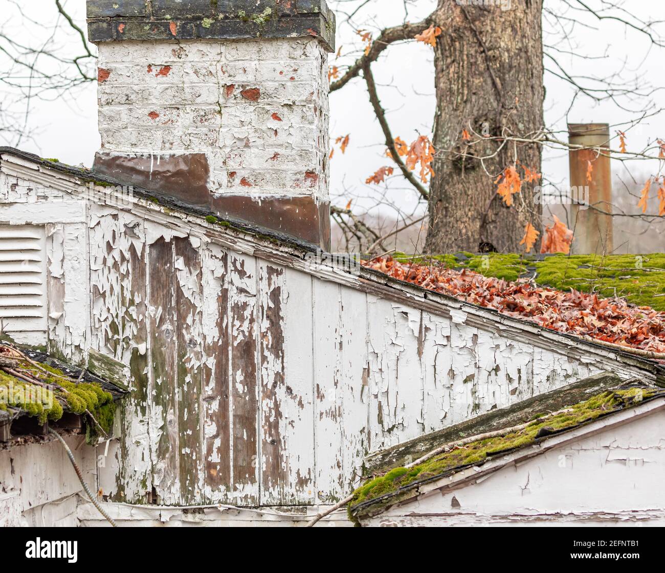 detail of a dilapidated house Stock Photo - Alamy