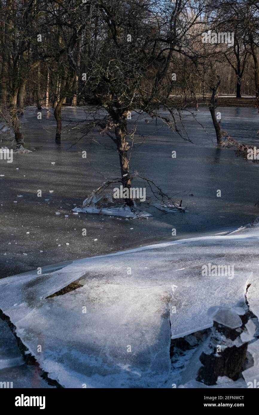 frozen flood in Cologne in Germany Stock Photo - Alamy