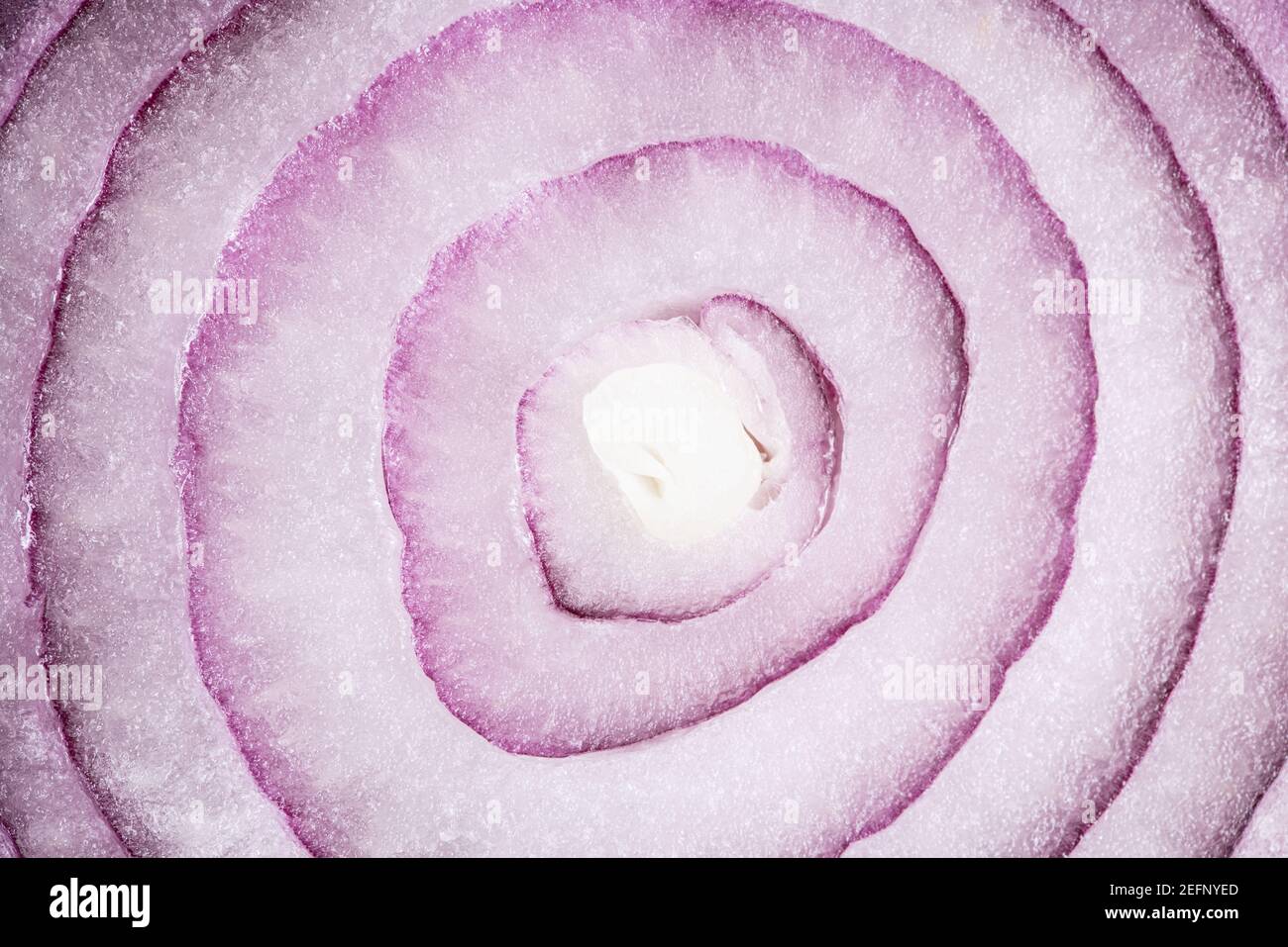texture red onion. Slices of red onion close-up Stock Photo - Alamy